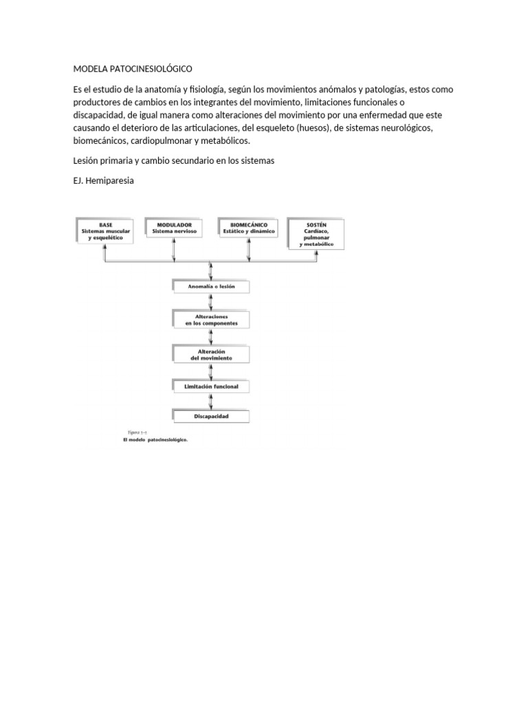 Modela Patocinesiológico | PDF
