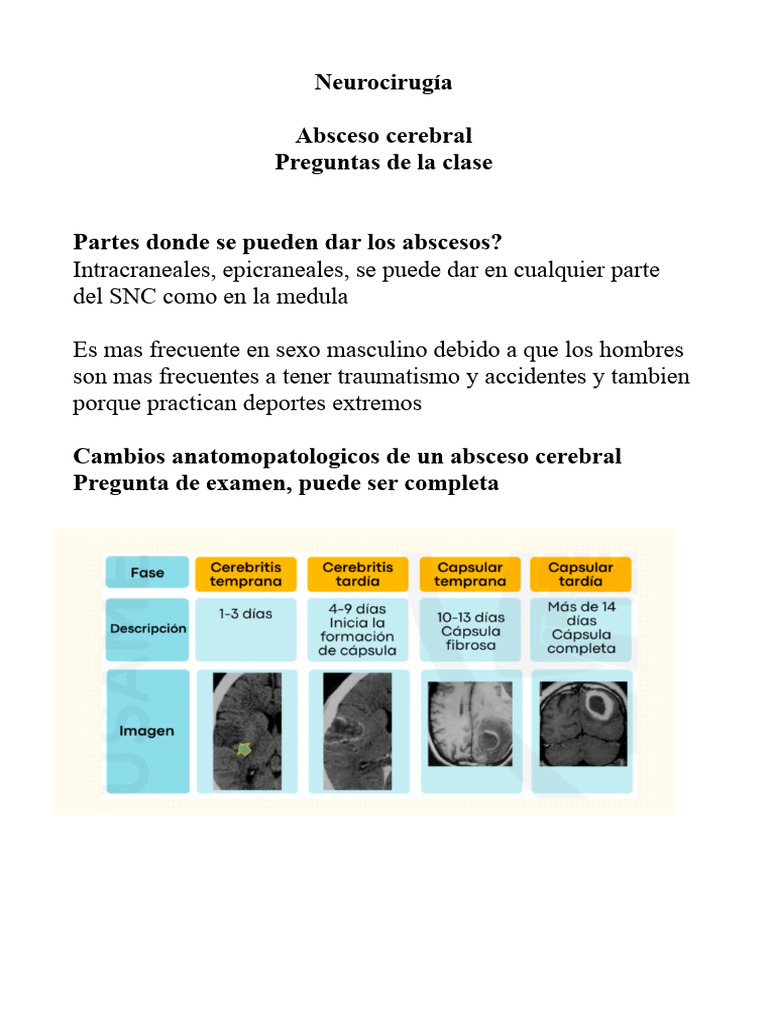 Abseco Cerebral y Lesiones Vasculares Intracraneales | PDF