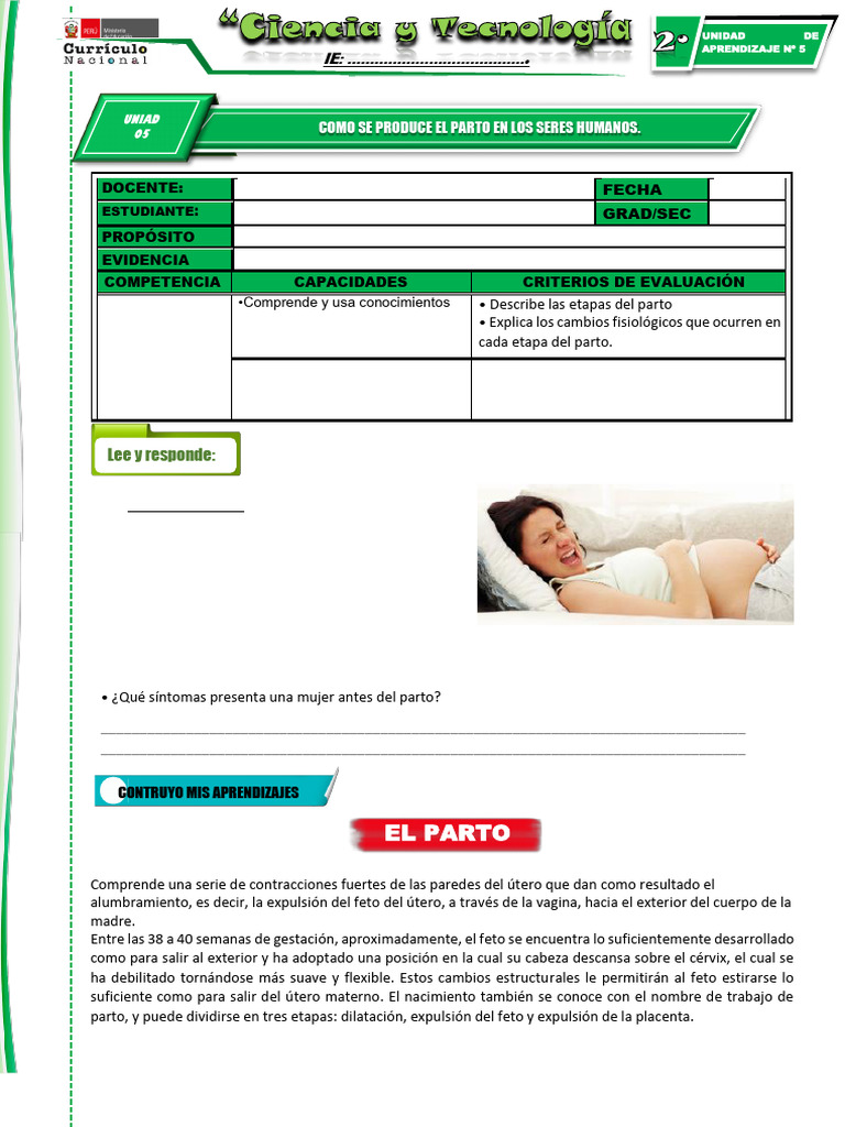 C-2º Act 5-Cyt-Und 5 | PDF