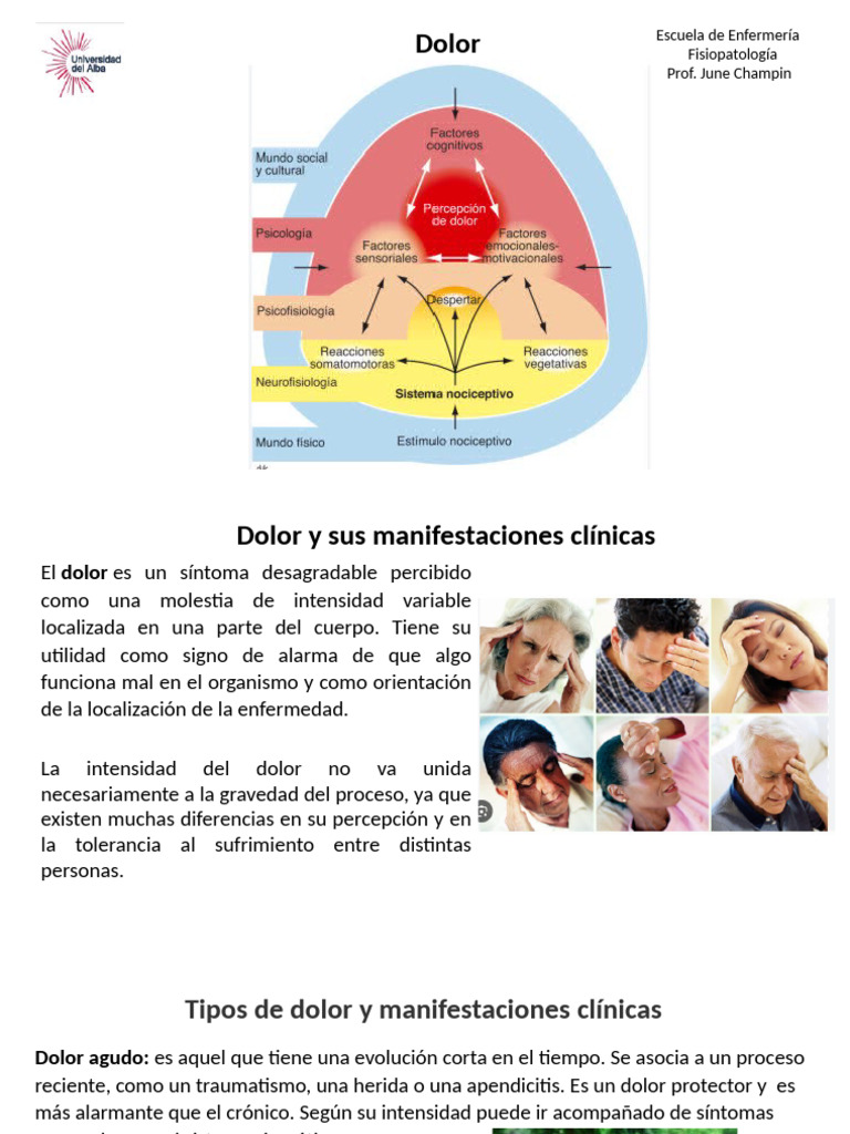 Manifestaciones Clínicas Del Dolor | PDF