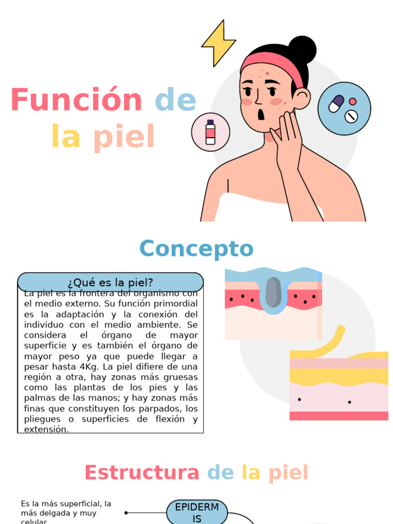 Funcion de La Piel - Anatomia | PDF