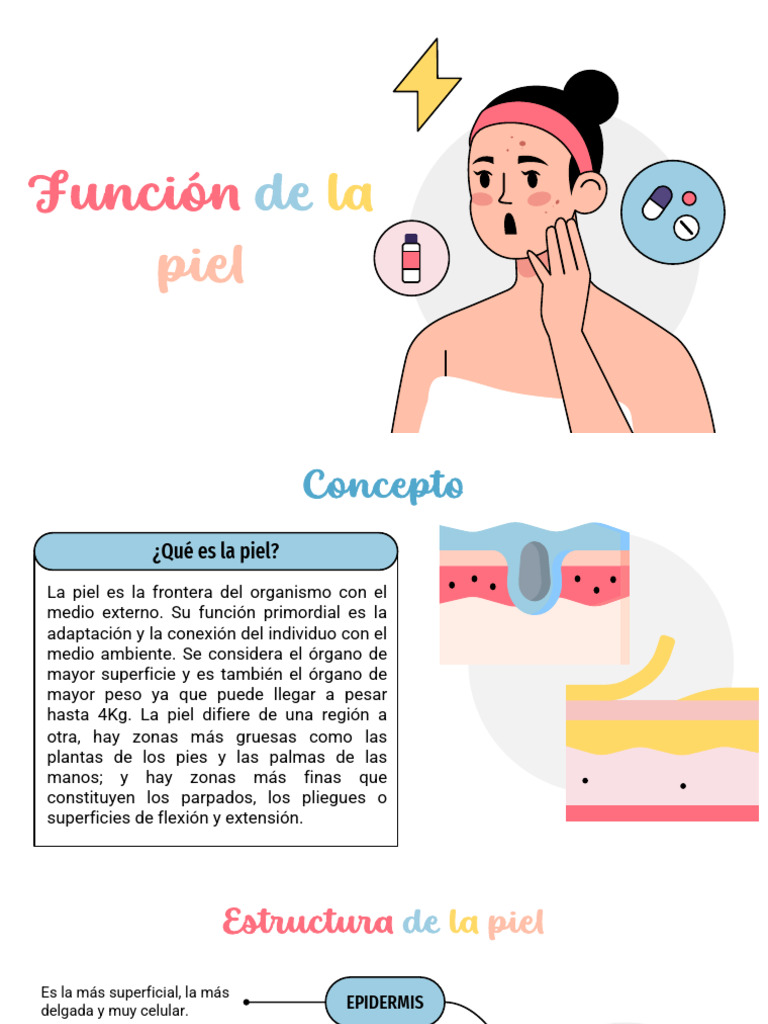 Funcion de La Piel - Anatomia | PDF