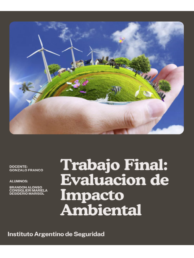 TP Final de Evaluacion de Impacto Ambiental | PDF