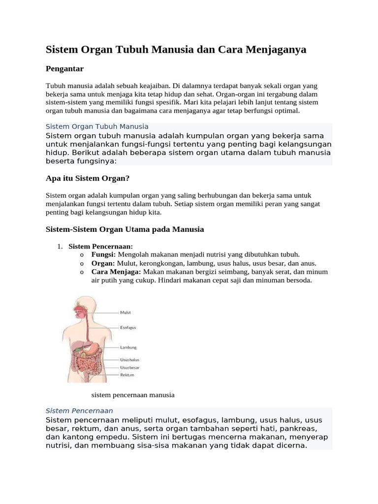 Sistem Organ Tubuh Manusia Dan Cara Menjaganya | PDF