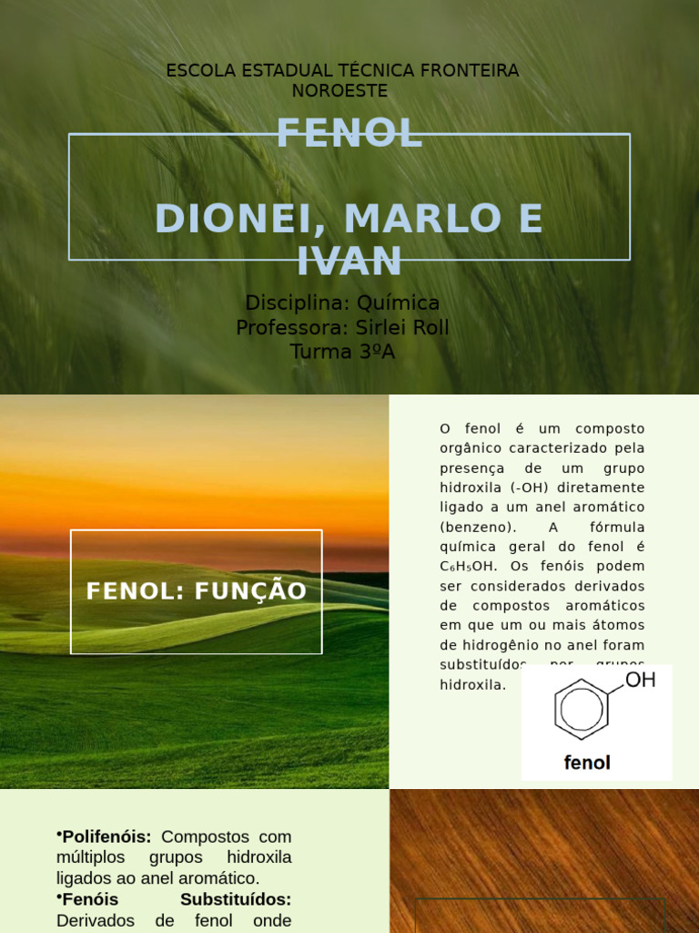 Fenol | PDF