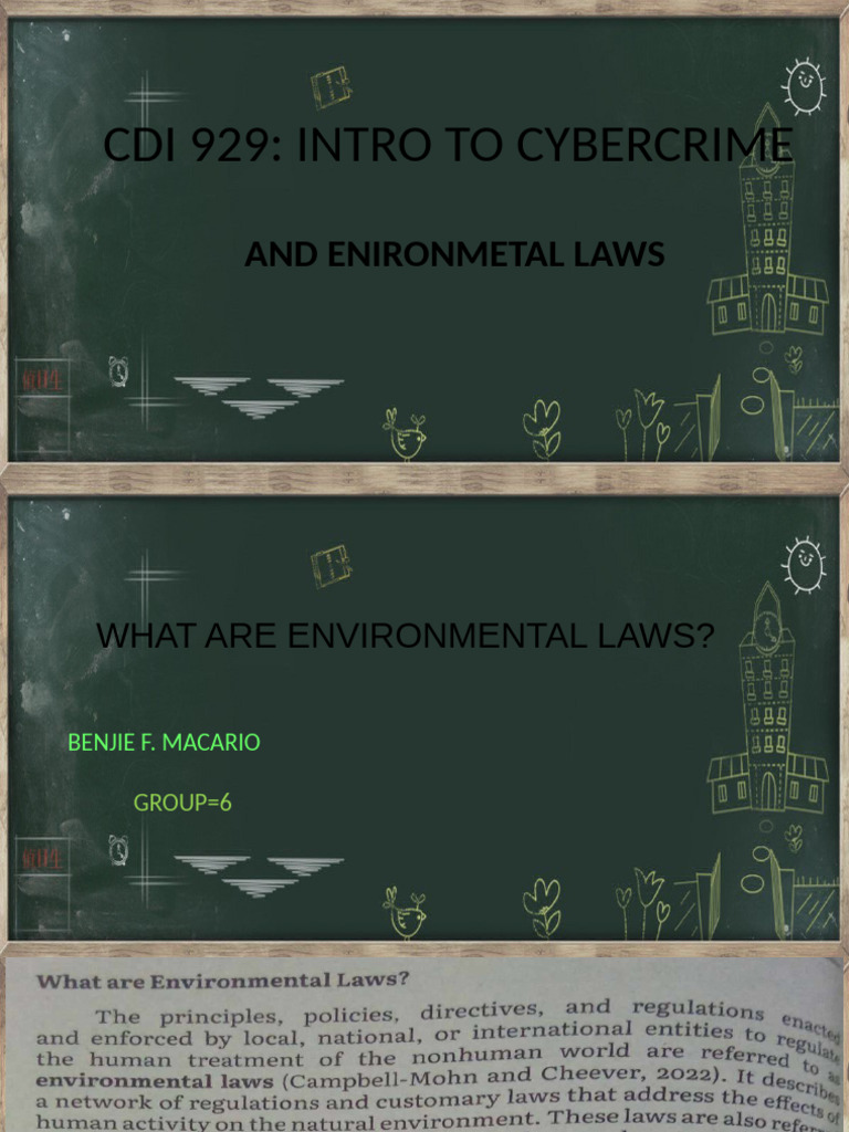 Report Cdi 929 - Intro-Wps Office | PDF