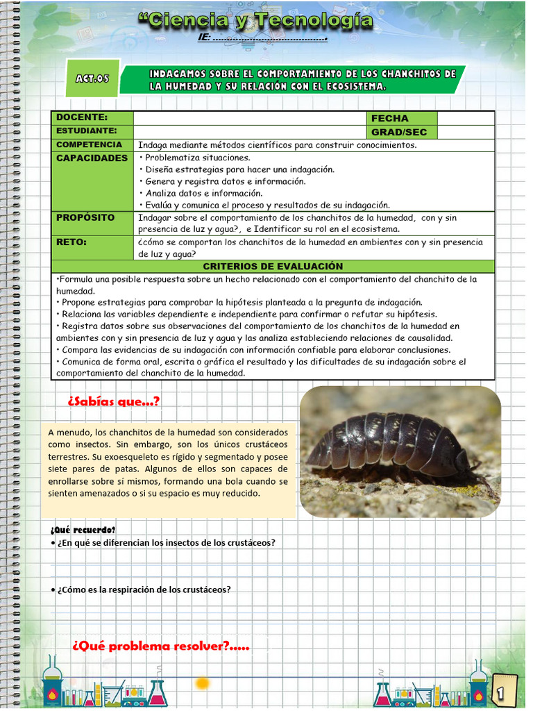 D-1º Act 5 Cyt Und 4 - Sem 4 | PDF