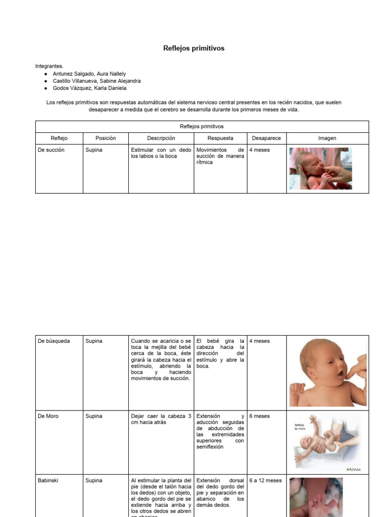 Reflejos Primitivos | PDF