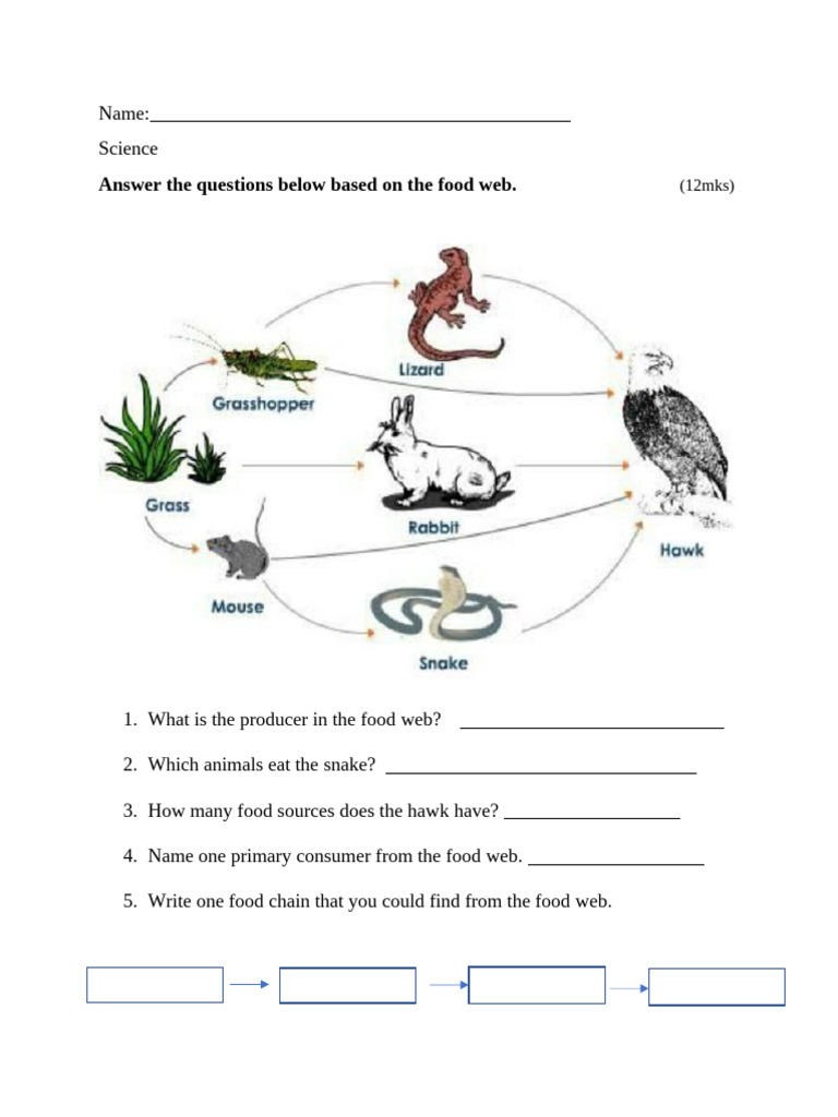 Food Web Analysis | PDF