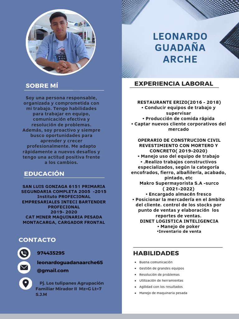 Leonardo CV 2024 | PDF