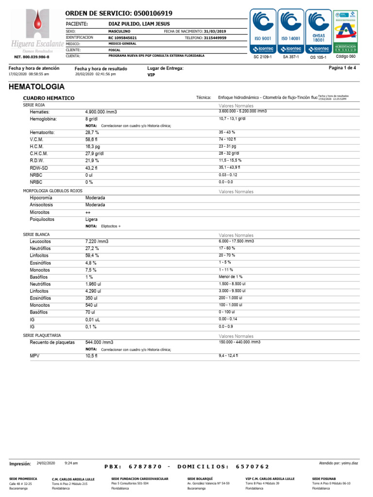 Hematologia: Cuadro Hematico | PDF