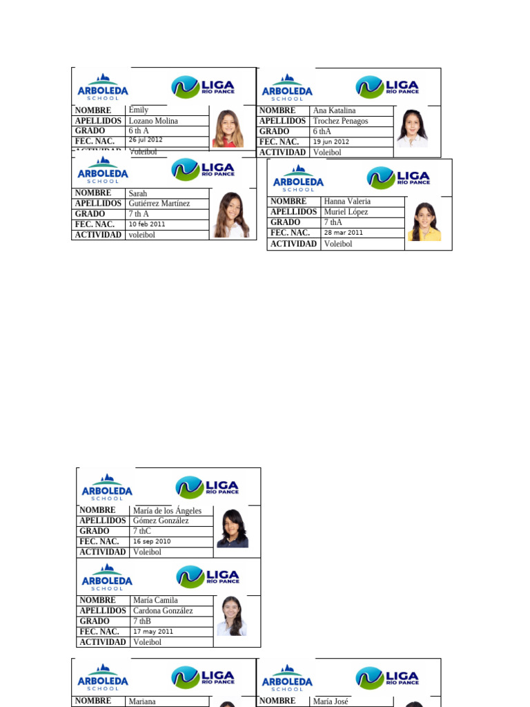 Carnets Voleibol | PDF