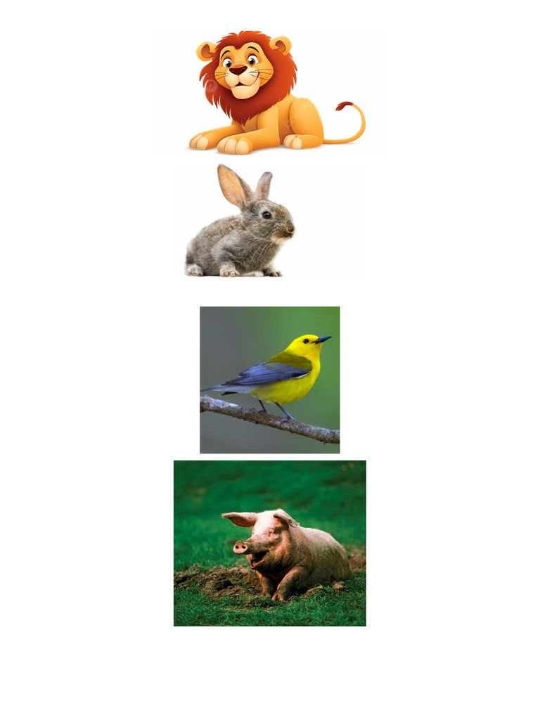 The Turtle Is Slower Than The Rabbit | PDF