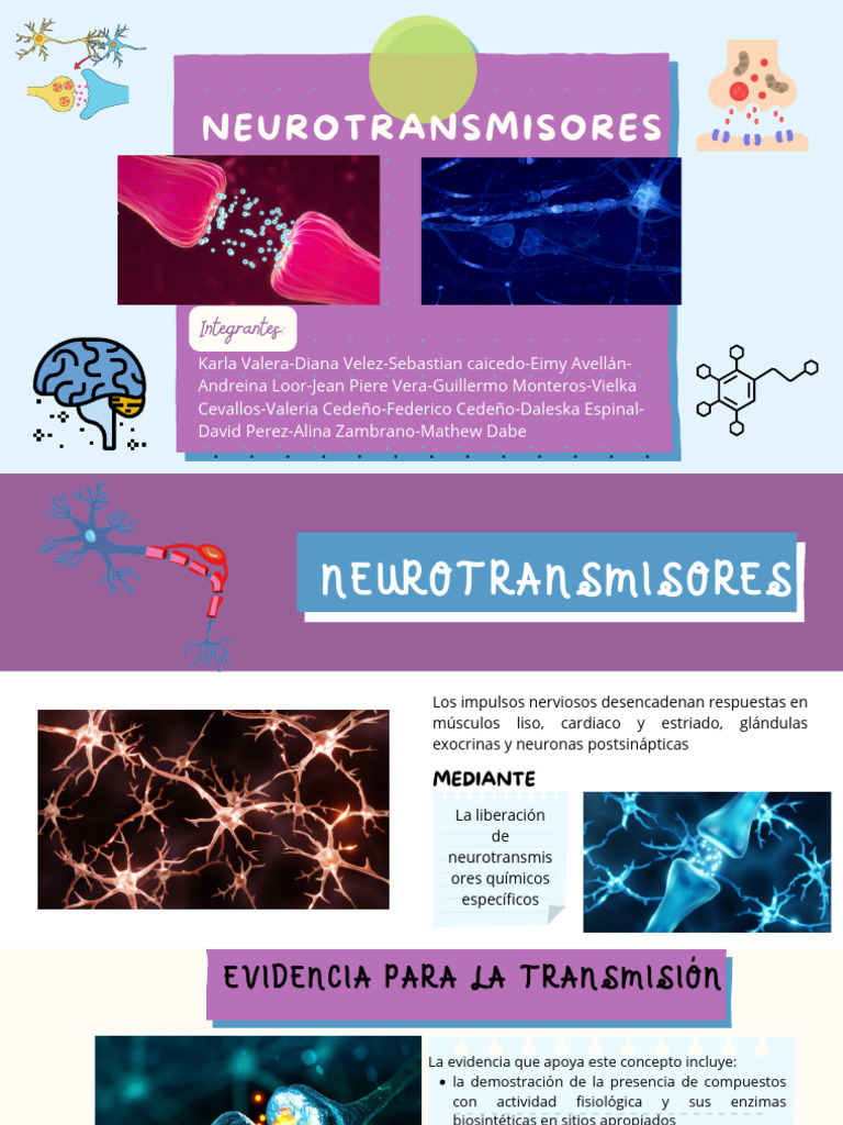 NEUROTRANSMISORES | PDF