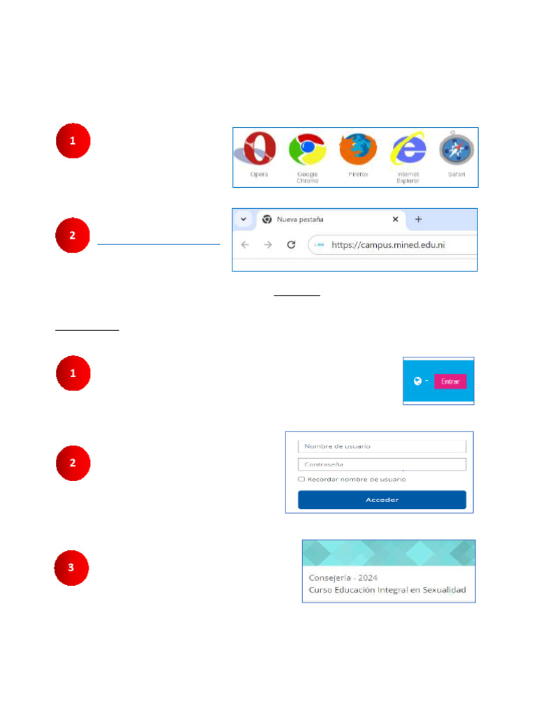 Pasos para ingresar al Curso EIS | PDF