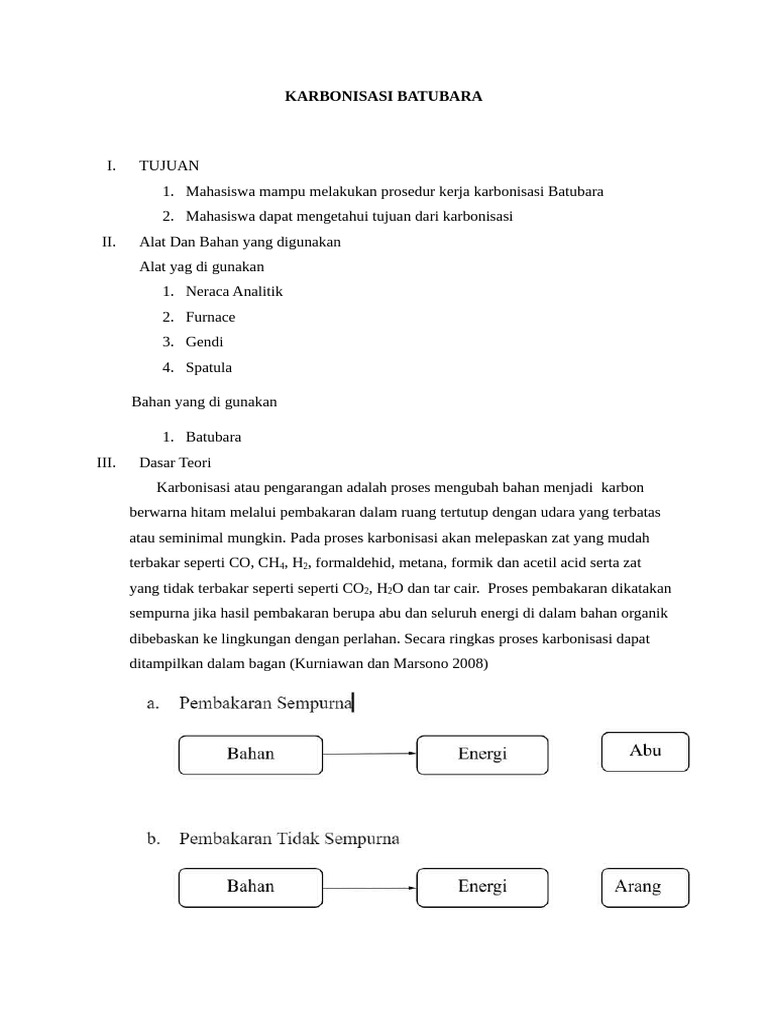 KARBONISASI BATUBARA Kel 2 | PDF