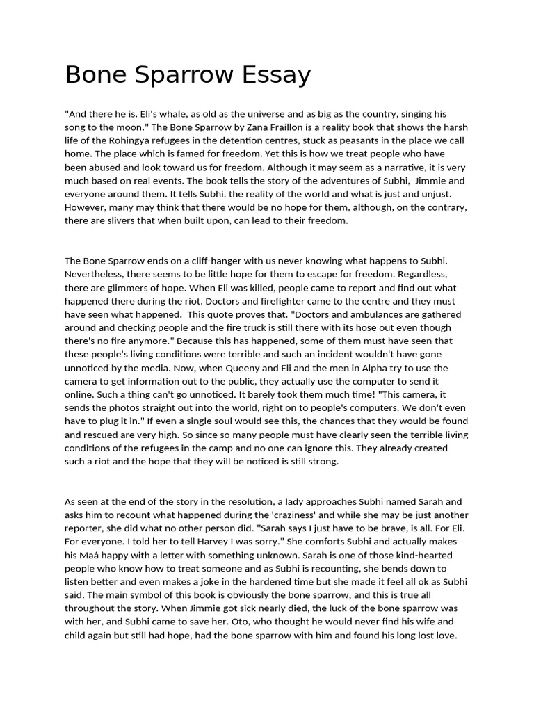 Bone Sparrow Essay | PDF