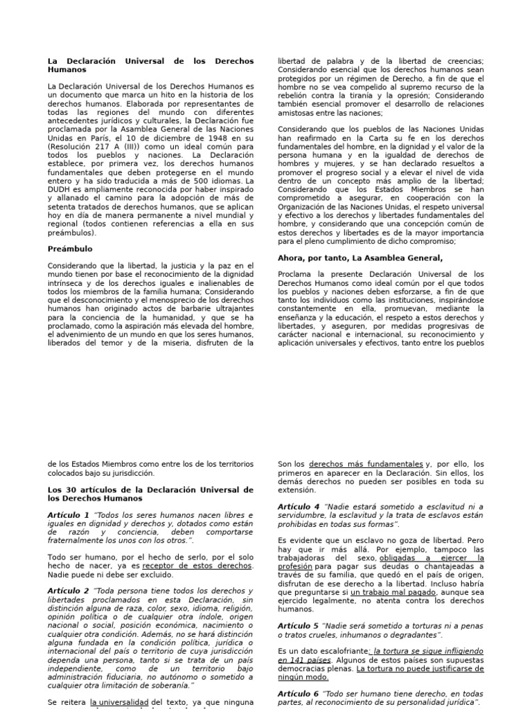 La Declaración Universal De Los Derechos Humanos Pdf 6965