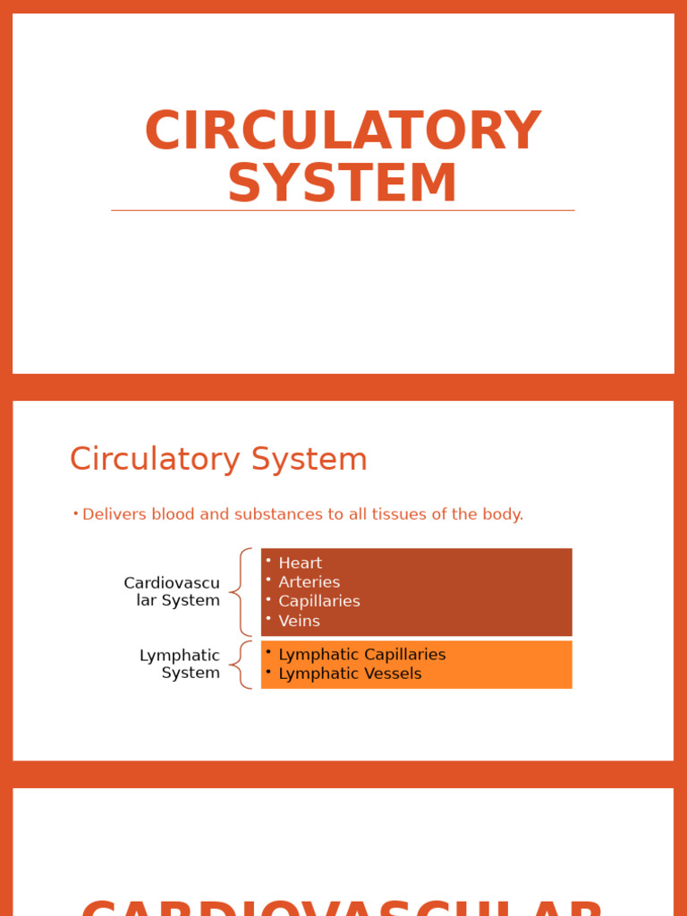 Circulatory System | PDF