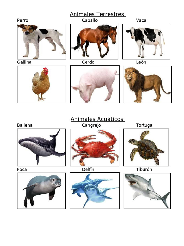 Animales Terrestres y Acuaticos | PDF
