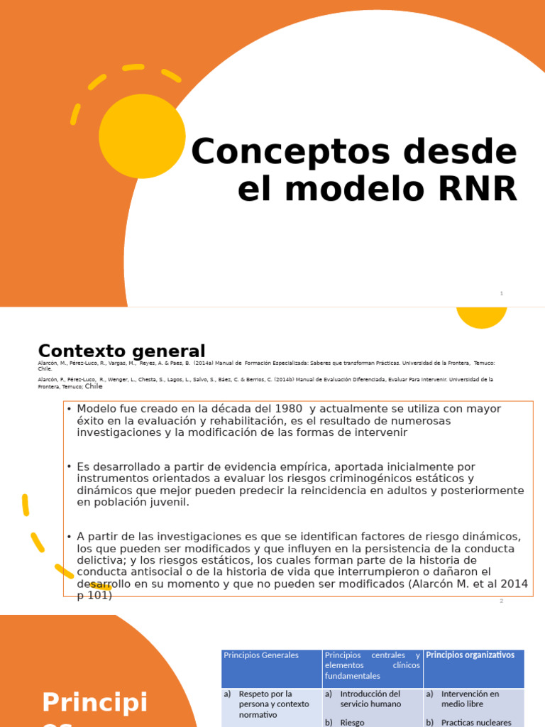 Modelo RNR | PDF