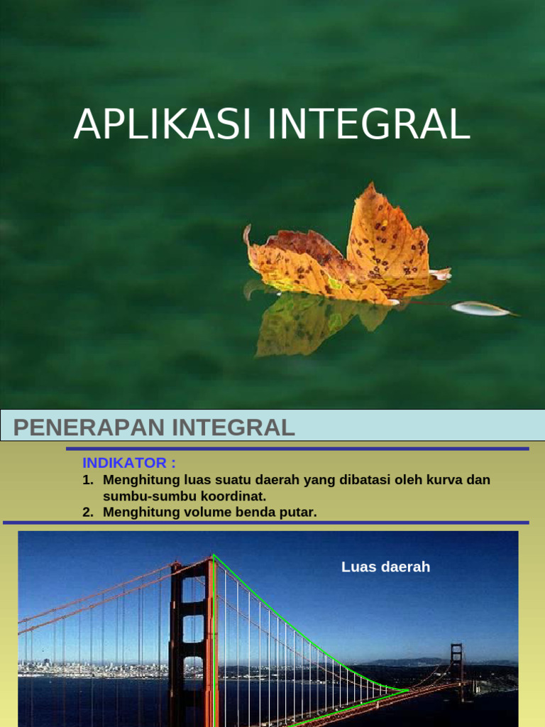 Aplikasi Integral | PDF