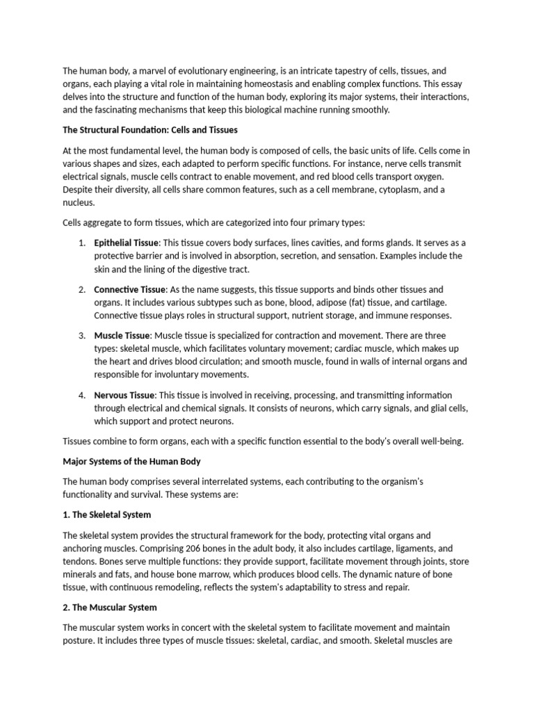 The Human Body | PDF