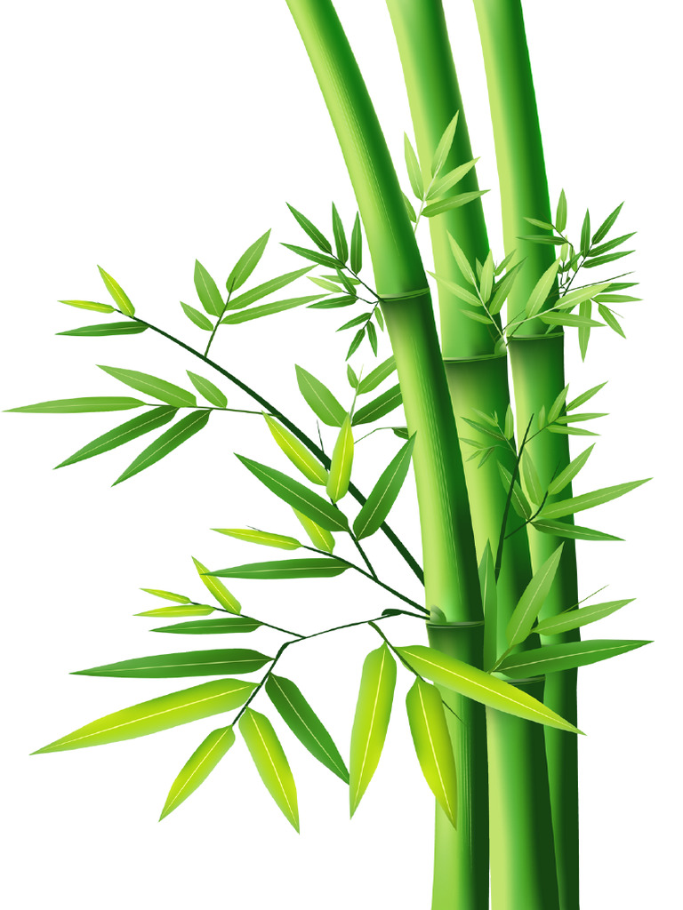 Bahan Membuat Media Belajar Dongeng Lukisan Bambu | PDF