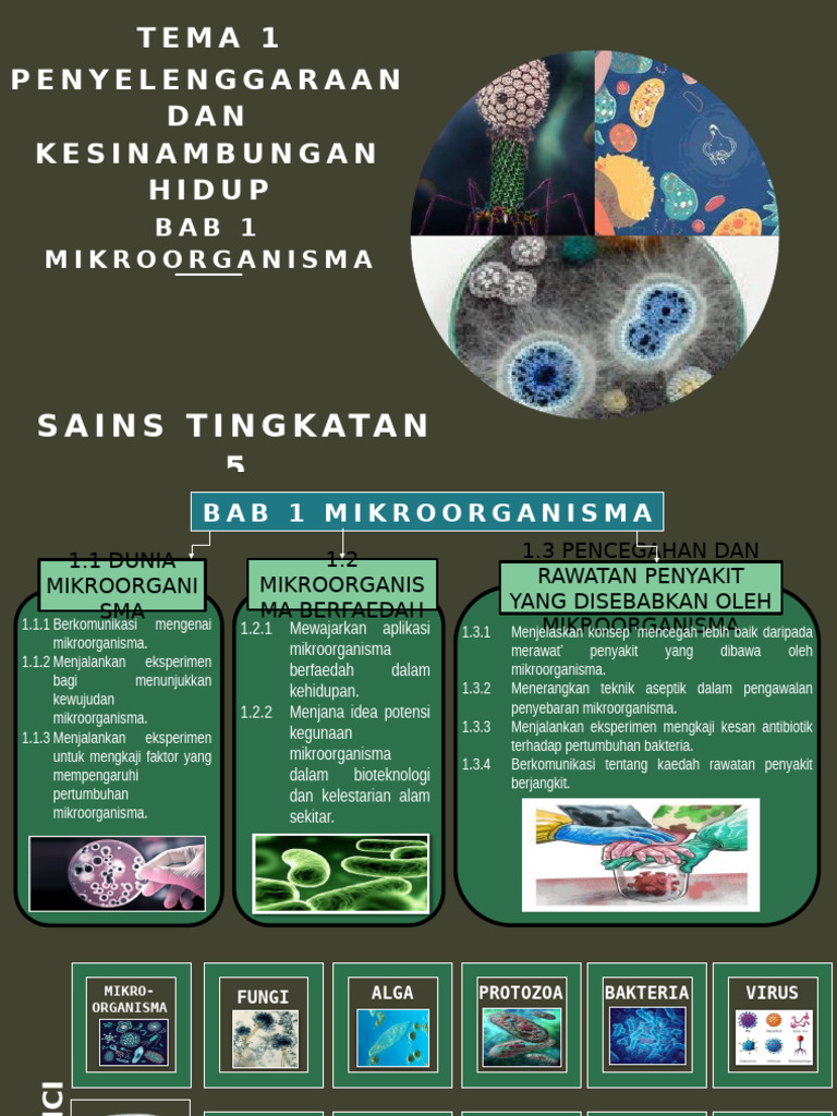 Bab 1 Mikroorganisma | PDF