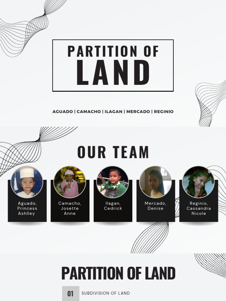 Partition of Land | PDF | Area | Triangle Geometry
