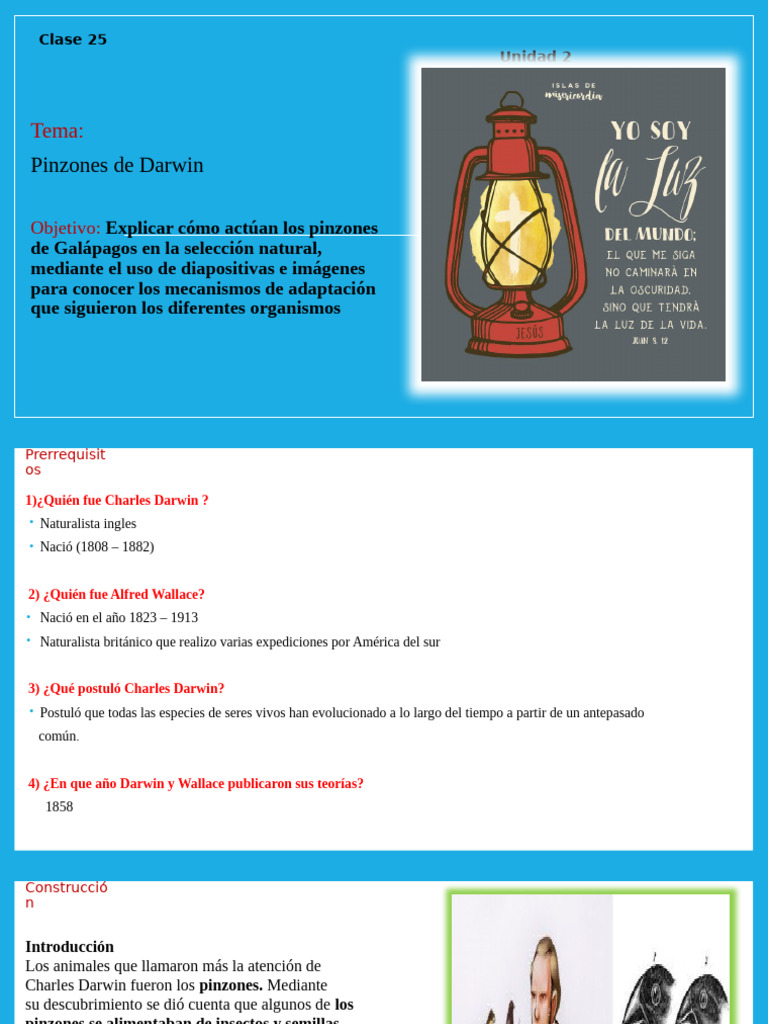 9no Clase 25 Pinzones de Darwin | PDF