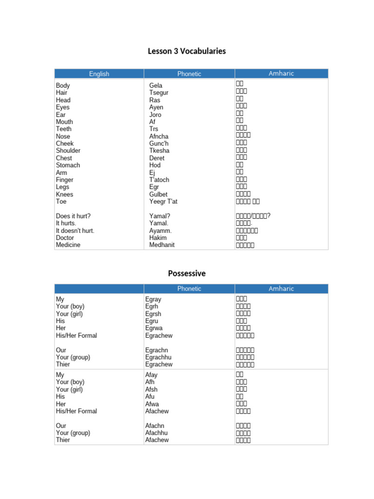 Lesson 3 Vocabularies | PDF