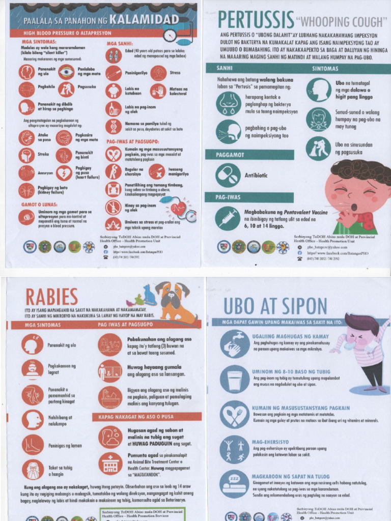 IEC MATERIALS 2024 | PDF