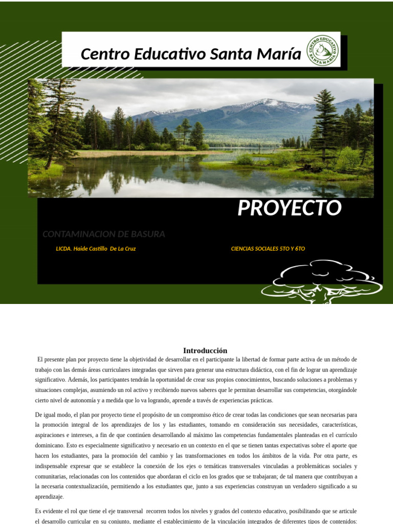 Proyecto Haide Castillo | PDF