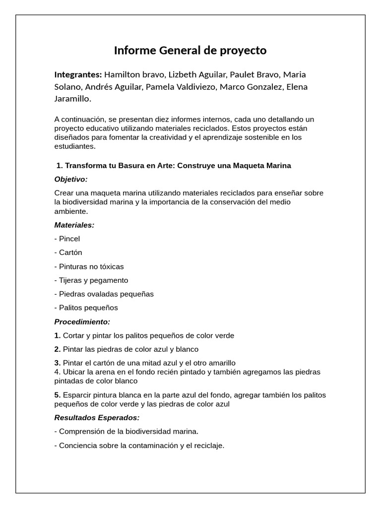 Informe General 1 de proyecto | PDF