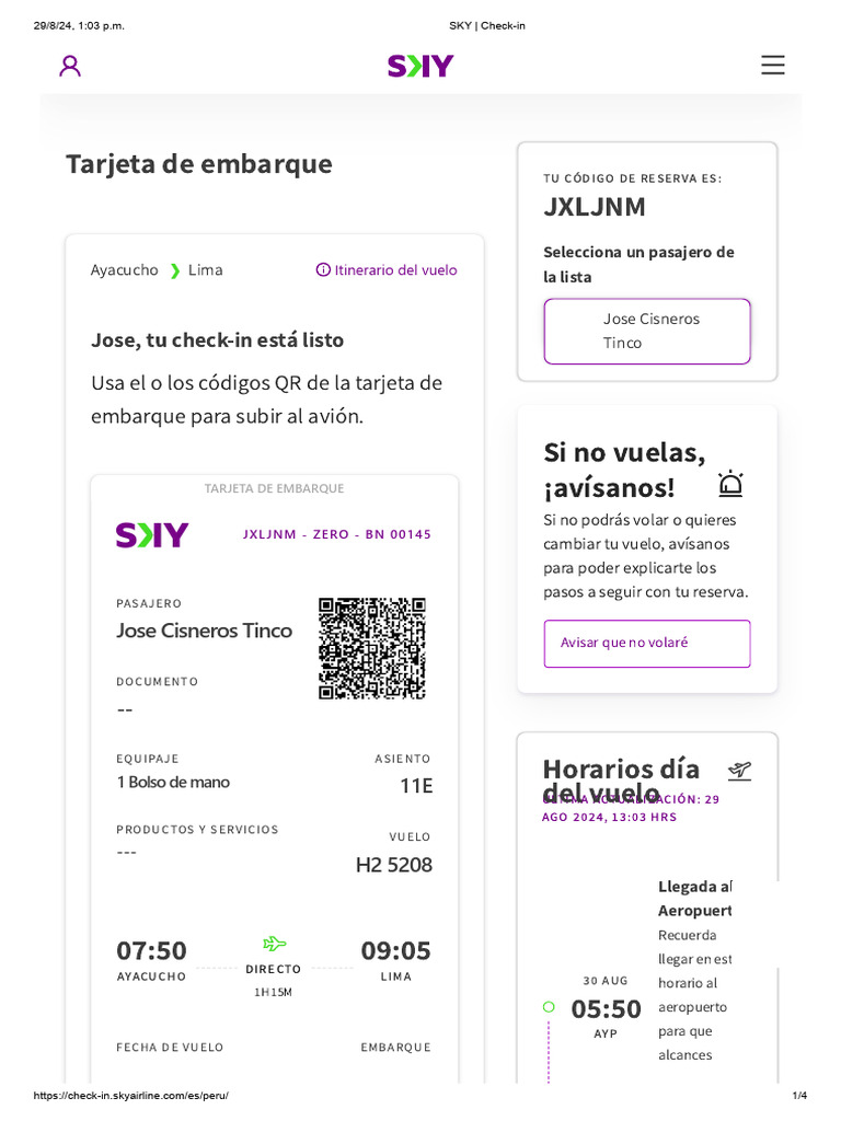 SKY - Check-In JOSE. | PDF