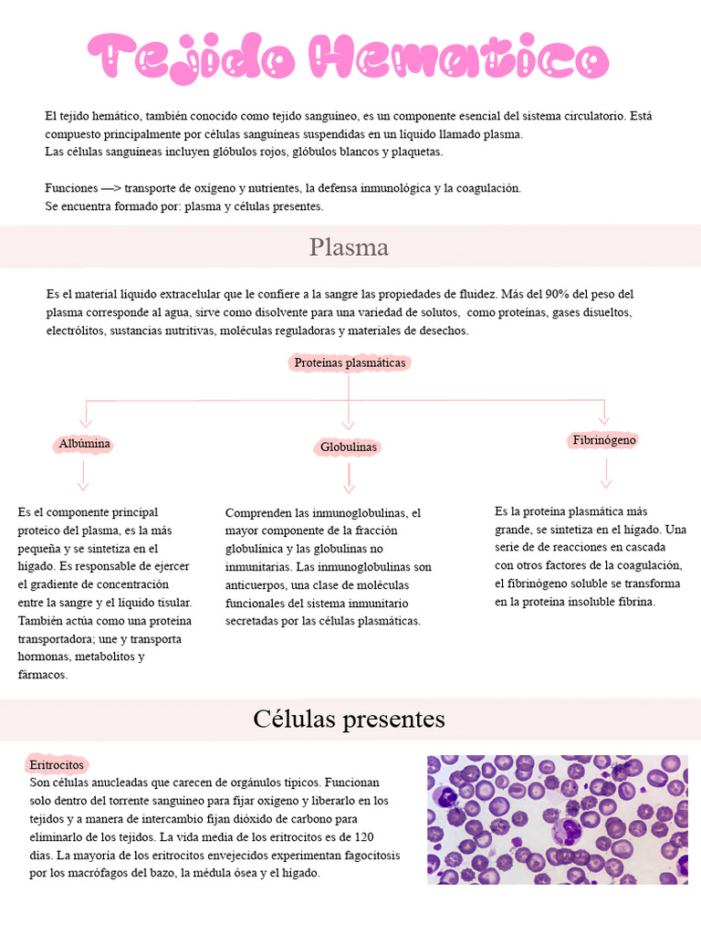 Tejido Hemático | PDF