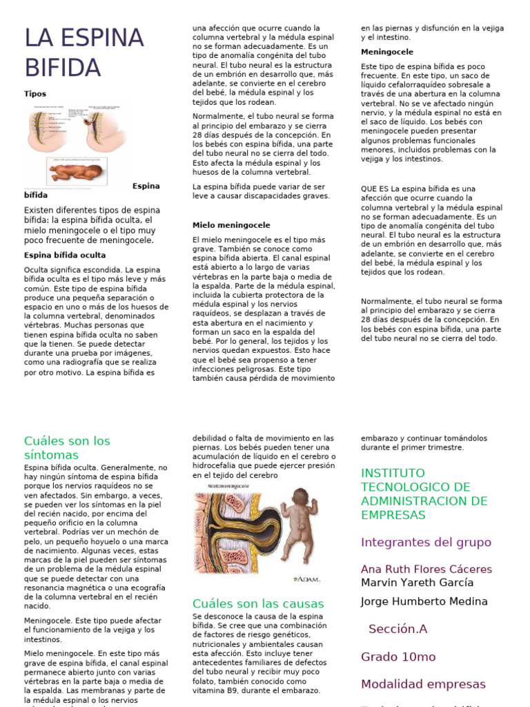La Espina Bifida | PDF