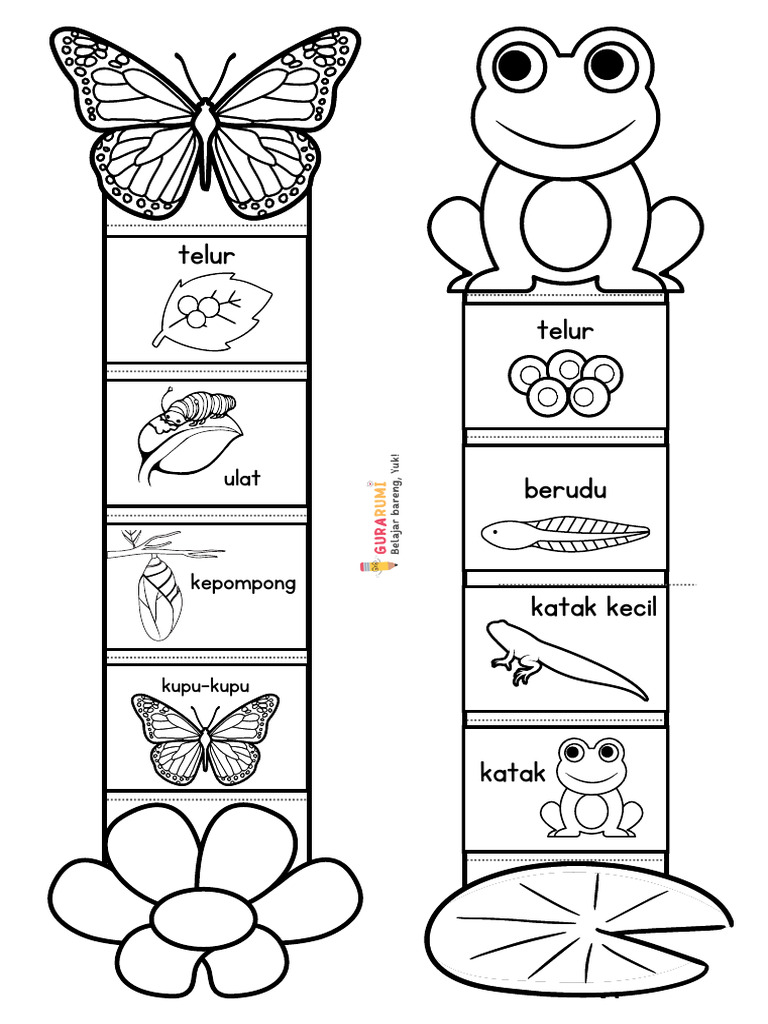 IPAS - Gurarumi - Happy Note Siklus Hidup Hewan | PDF