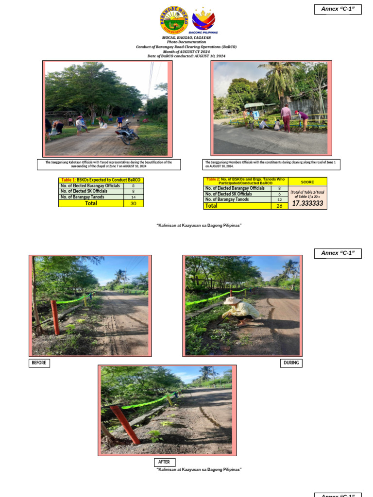 Annex C 1 Photo Documentation Barangay BaRCO Monthly Monitoring Report Template With BSKO ...