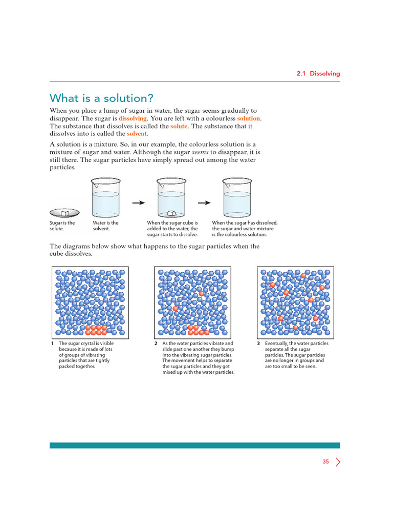 What Is A Solution?: Dissolving Solution Solute Solvent | PDF