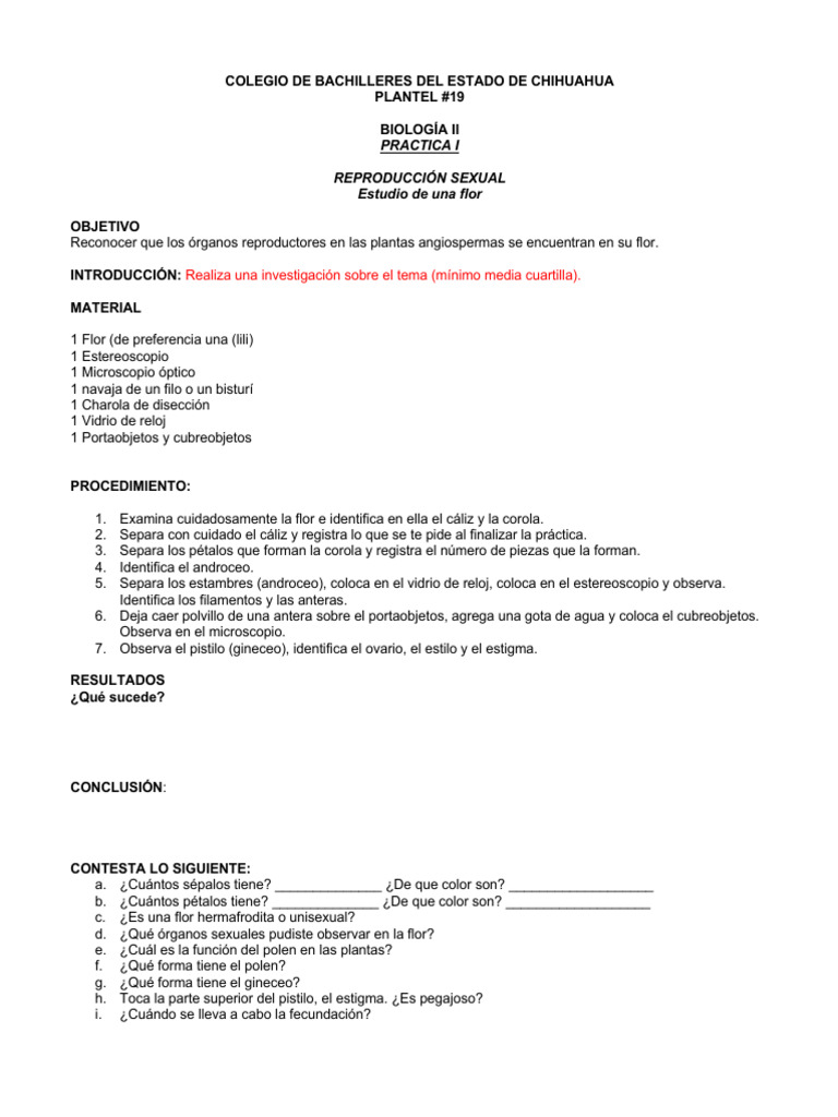 Practica 1 Flor | PDF