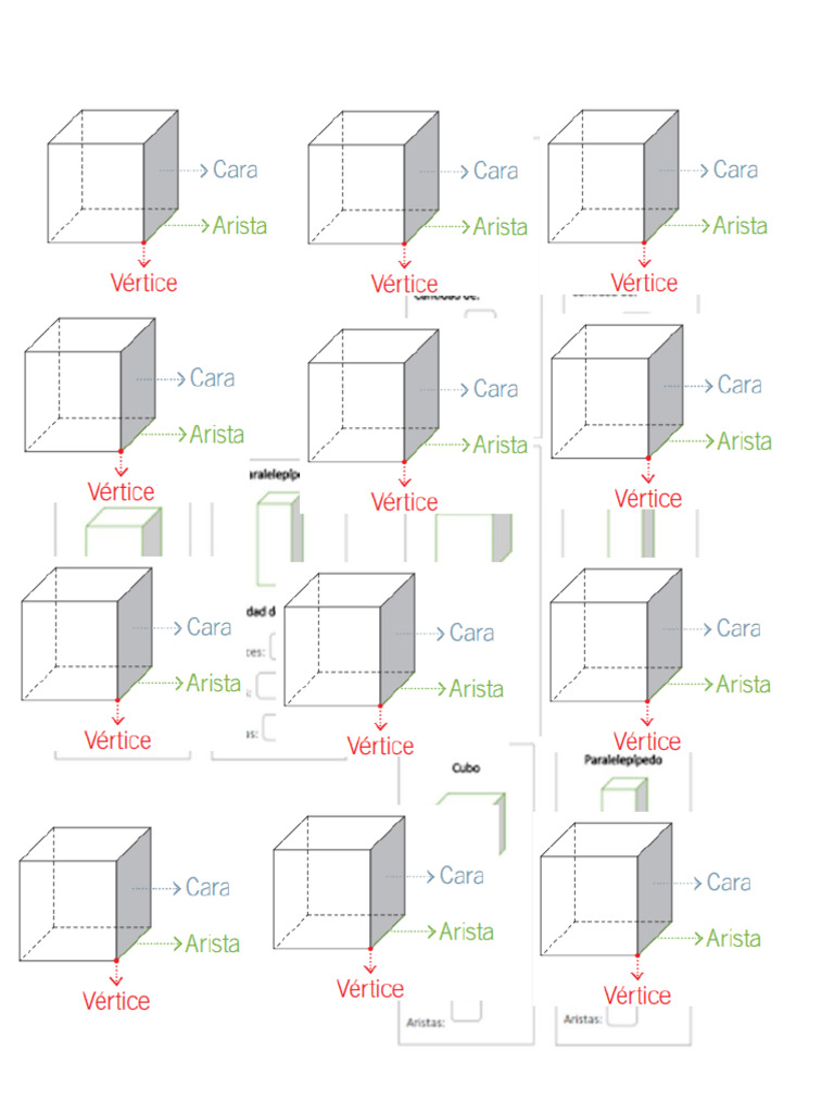 Caras Aristas y Vertices | PDF