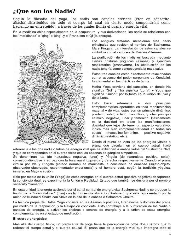 QUE SON LOS NADIS(2) | PDF
