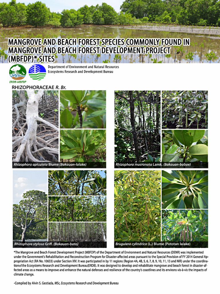 MBFDP Species Field Guide | PDF