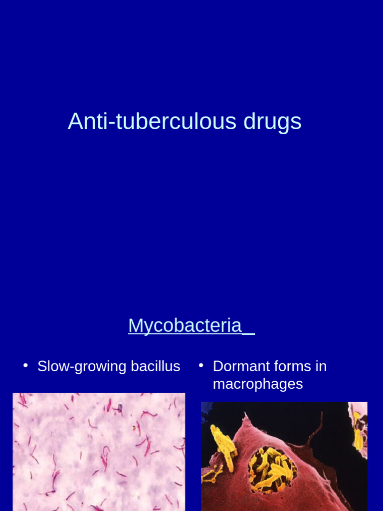 Anti Tuberculous Drugs | PDF