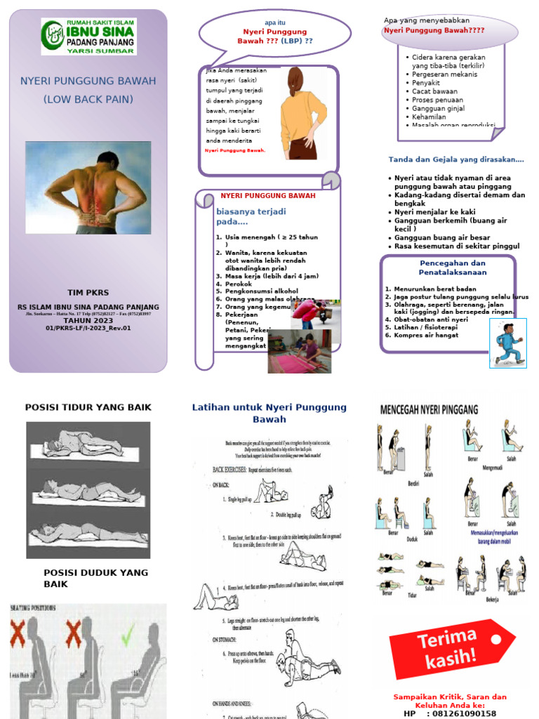 Nyeri Punggung Bawah (Low Back Pain) | PDF