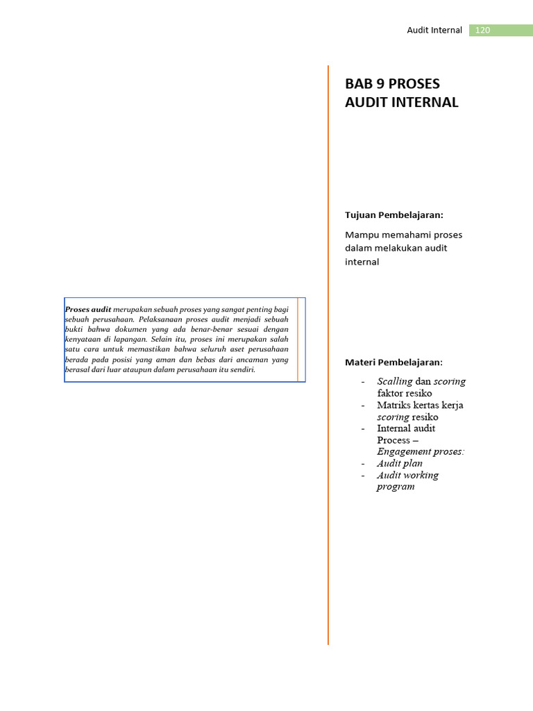 9 Proses Audit Internal | PDF