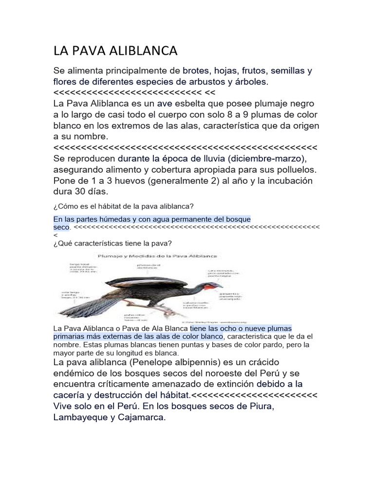 La Pava Aliblanca | PDF