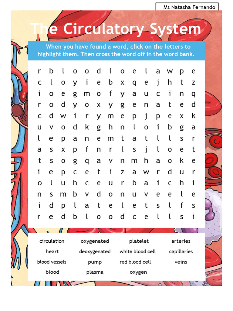 Word Search - Circulatory System | PDF
